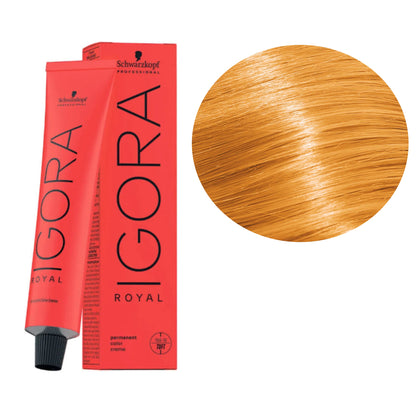 Schwarzkopf Professional Igora Royal Permanent Hair Colour 60ml ...